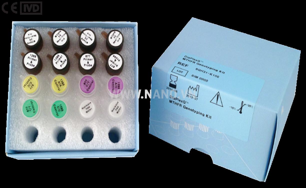 DiaPlexQ™ MTHFR Genotyping Kit - kt-biotech