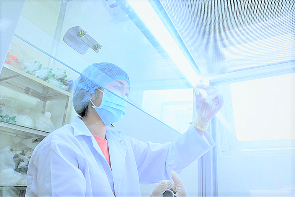 Homepage - kt-biotech